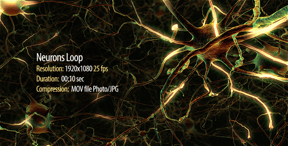 Neurons Loop Motion Graphics Videohive